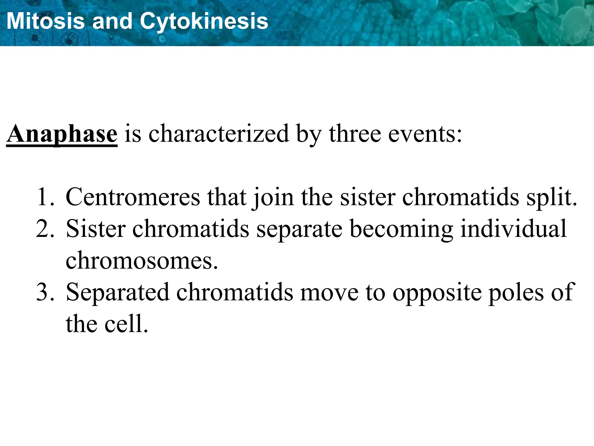 Cell Cycle for grade 8 science 2nd quarter.ppt