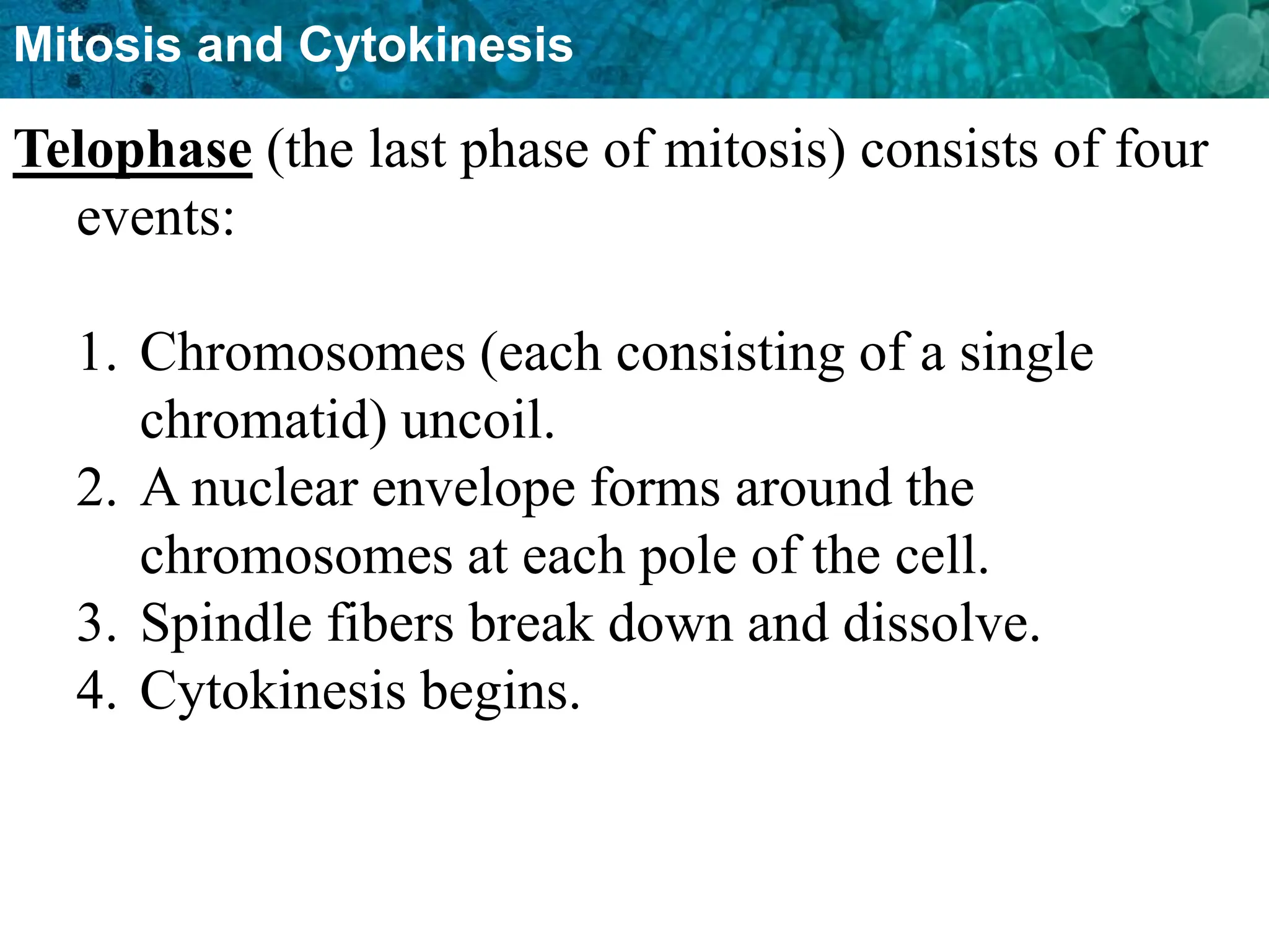 Cell Cycle for grade 8 science 2nd quarter.ppt