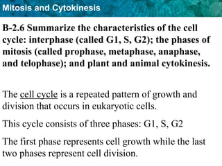 Cell Cycle for grade 8 science 2nd quarter.ppt