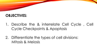 Comprehensive Lesson on Cell Division.pptx