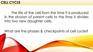 Comprehensive Lesson on Cell Division.pptx