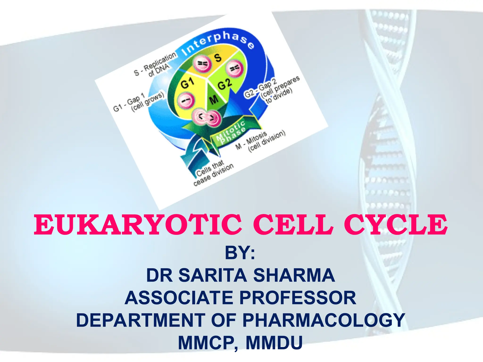 EUKARYOTIC CELL CYCLE.ppt (pharmacotherapeutics) | PPT