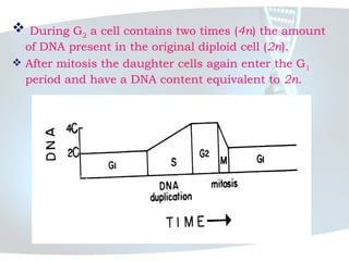 EUKARYOTIC CELL CYCLE.ppt (pharmacotherapeutics) | PPT