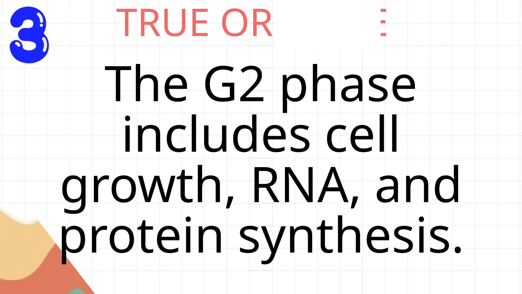 Introduction to Cell Cycle and stages of cell cycle | PPTX