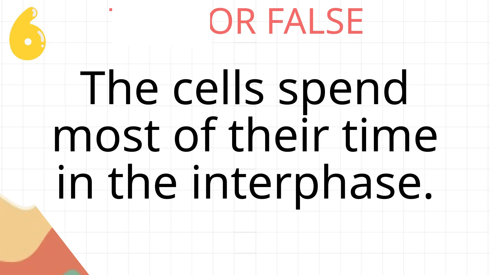 Introduction to Cell Cycle and stages of cell cycle | PPTX