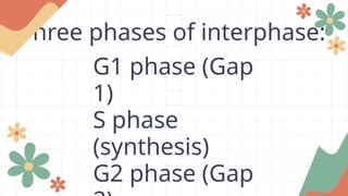Introduction to Cell Cycle and stages of cell cycle | PPTX