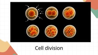 Introduction to Cell Cycle and stages of cell cycle | PPTX