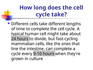 CELL CYCLE AND HOW THE CELL DIVIDES.pptx