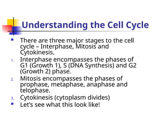 CELL CYCLE AND HOW THE CELL DIVIDES.pptx