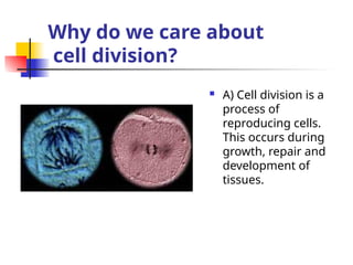 CELL CYCLE AND HOW THE CELL DIVIDES.pptx