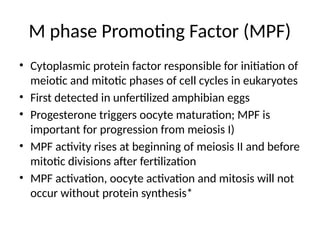 cell cycle( science ) pptx .............. | PPT