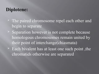 cell cycle BSN degree proram ppt .pptx
