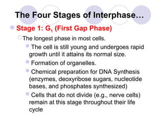 Structure , function and growth of prokaryote and eukaryote cells | PPT
