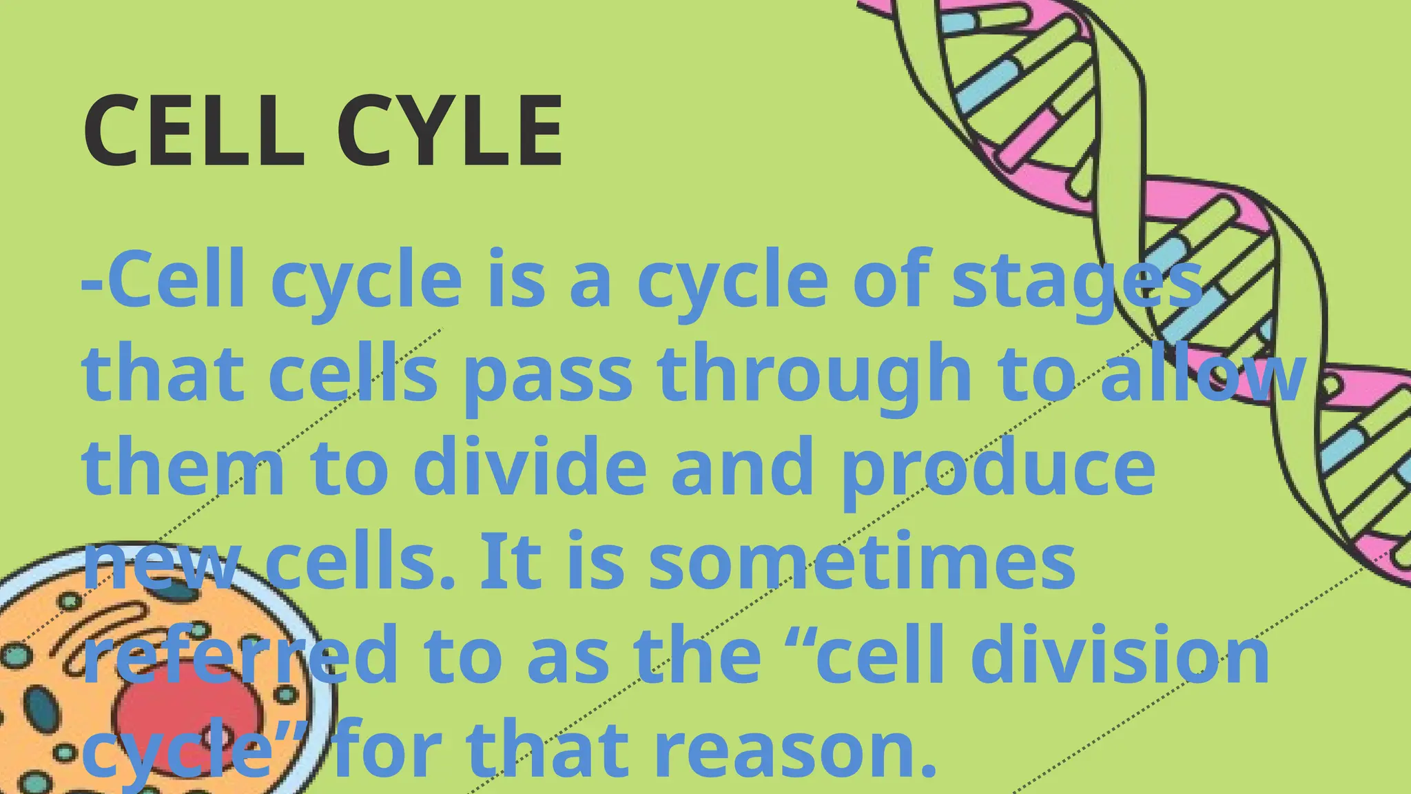 CELL CYCLE.pptx presentation for grade 8 | PPTX