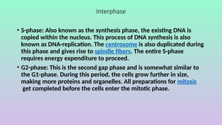 The Cell Cycle: Phases and Regulation Explained | PPTX