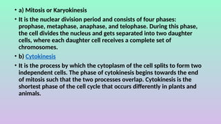 The Cell Cycle: Phases and Regulation Explained | PPTX