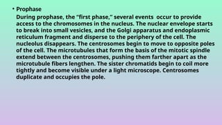 The Cell Cycle: Phases and Regulation Explained | PPTX