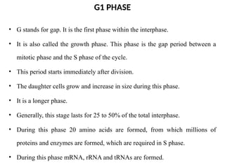 Cell cycle.pptxgyhfgyufftycfgyyggggggggg | PPTX
