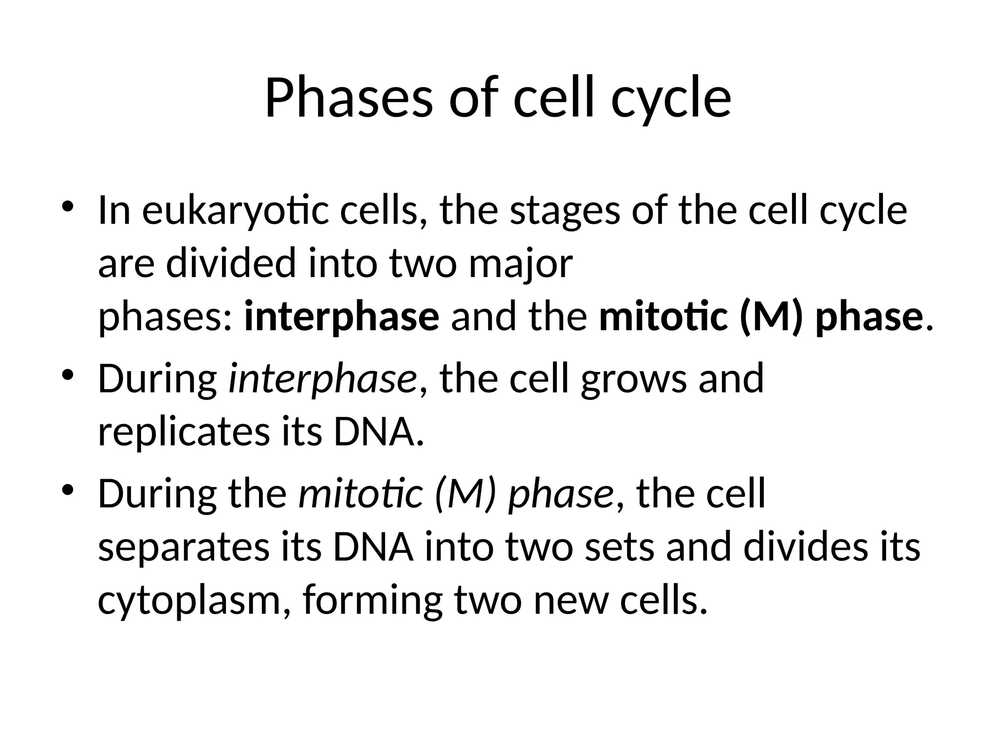what is Cell cycle phase presentation .pptx