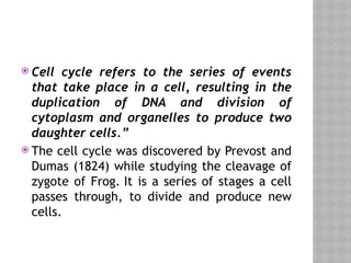 Process of Cell Cycle in Eukaryotes .pptx