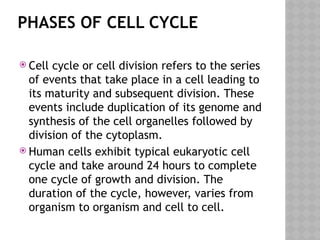 Process of Cell Cycle in Eukaryotes .pptx