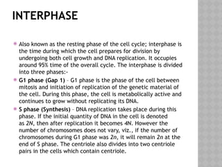 Process of Cell Cycle in Eukaryotes .pptx