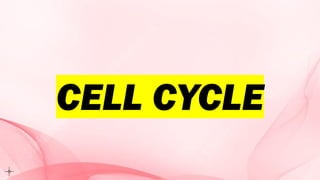 Grade 11 - STEM Strand DepEd Cell Cycle.pptx