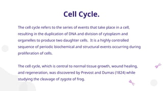Detailed introduction to Cell Cycle.pptx
