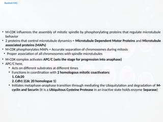 Cell cycle PART 1 (introduction, stages, components regulating the cell ...