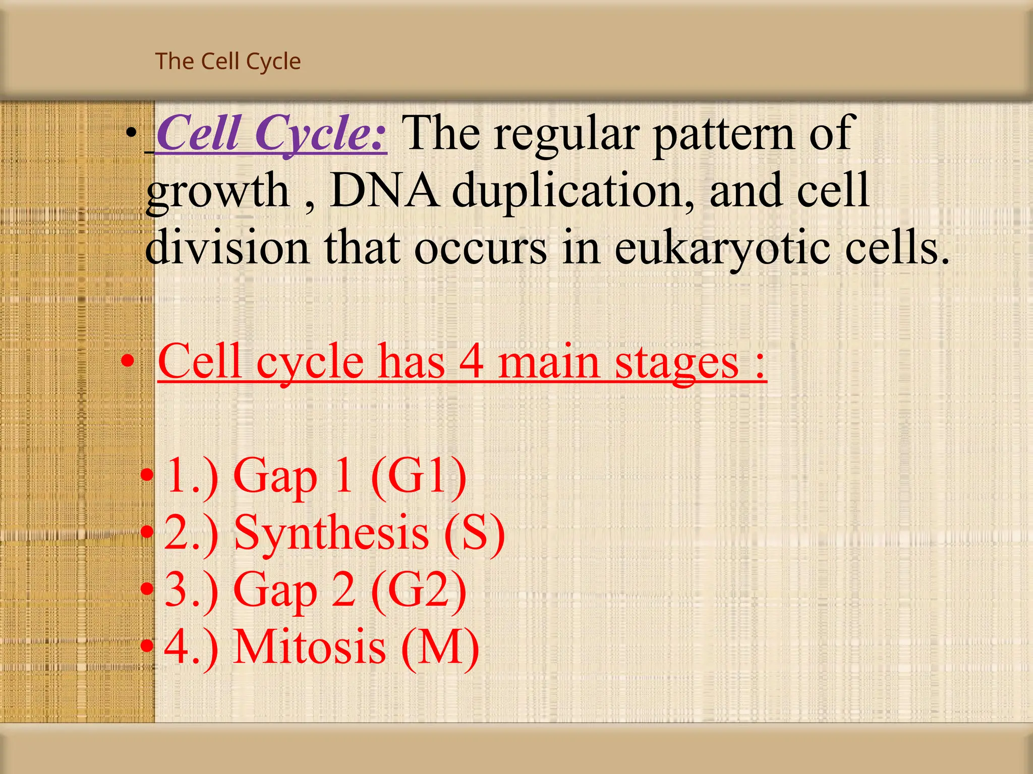 Cell Cycle: Meiosis and Mitosis and More | PPTX