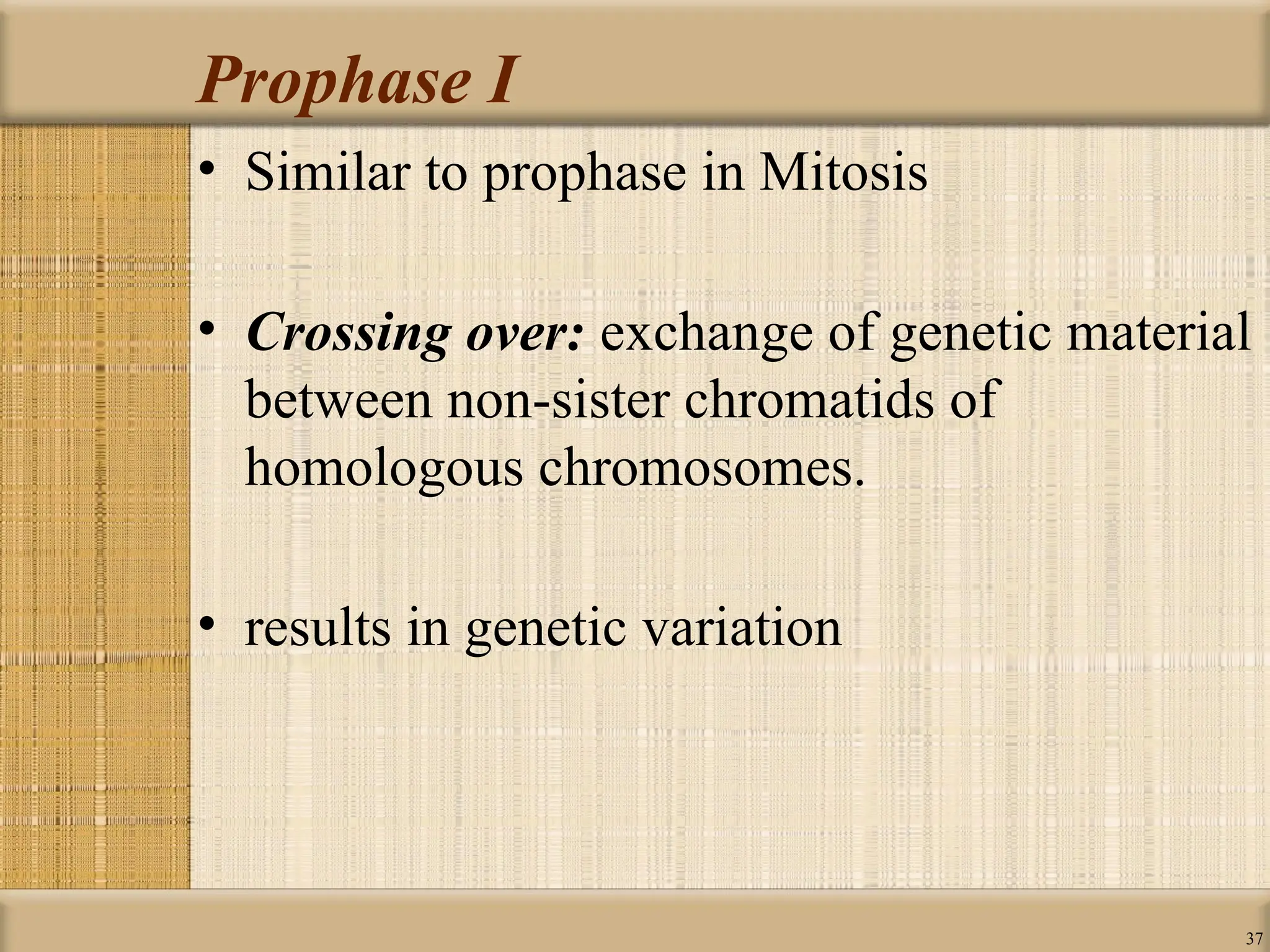 Cell Cycle: Meiosis and Mitosis and More | PPTX