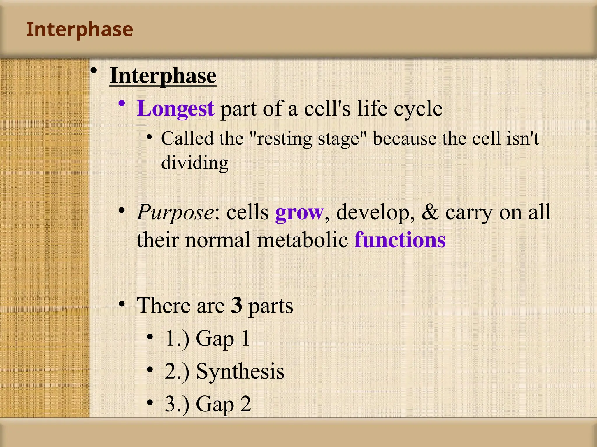 Cell Cycle: Meiosis and Mitosis and More | PPTX