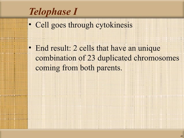 Cell Cycle: Meiosis and Mitosis and More | PPT