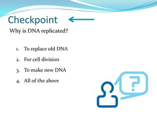 Cell cycle- mitosis | PPTX