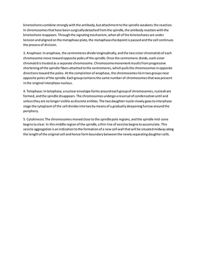 Cell Cycle Mitosis Pdf