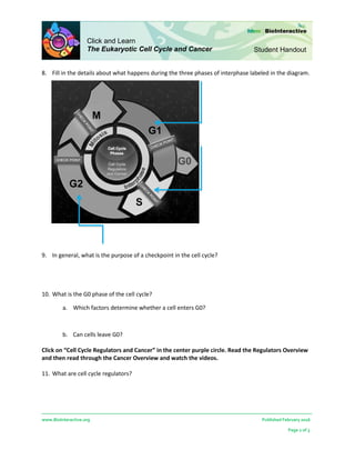 Cellcycle overview | PDF