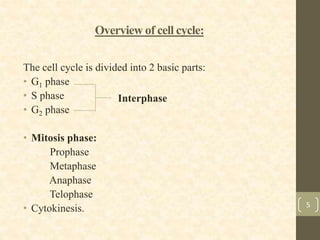 cell cycle 1st sem.pptx