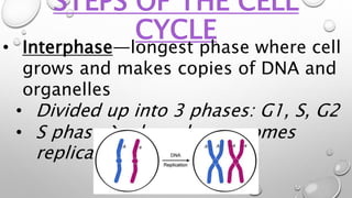 Cell cycle 7th | PPTX | Biological Sciences | Science