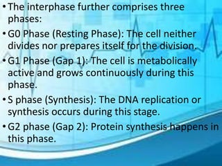 CELL CYCLE AND-WPS Office.pptx