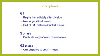 Cell cycle and cancer | PDF