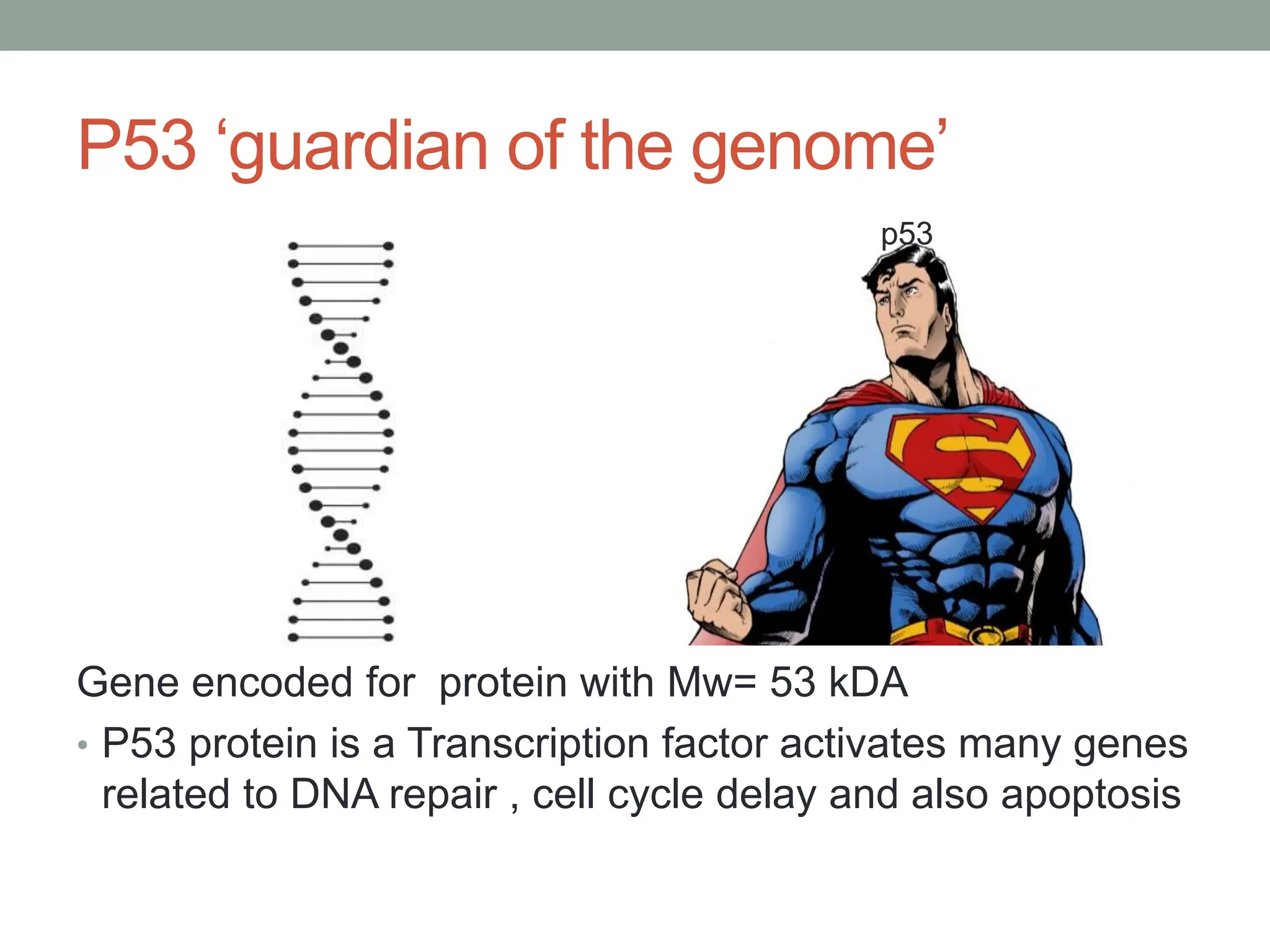 Cell cycle and Cancer biochemistry .pptx