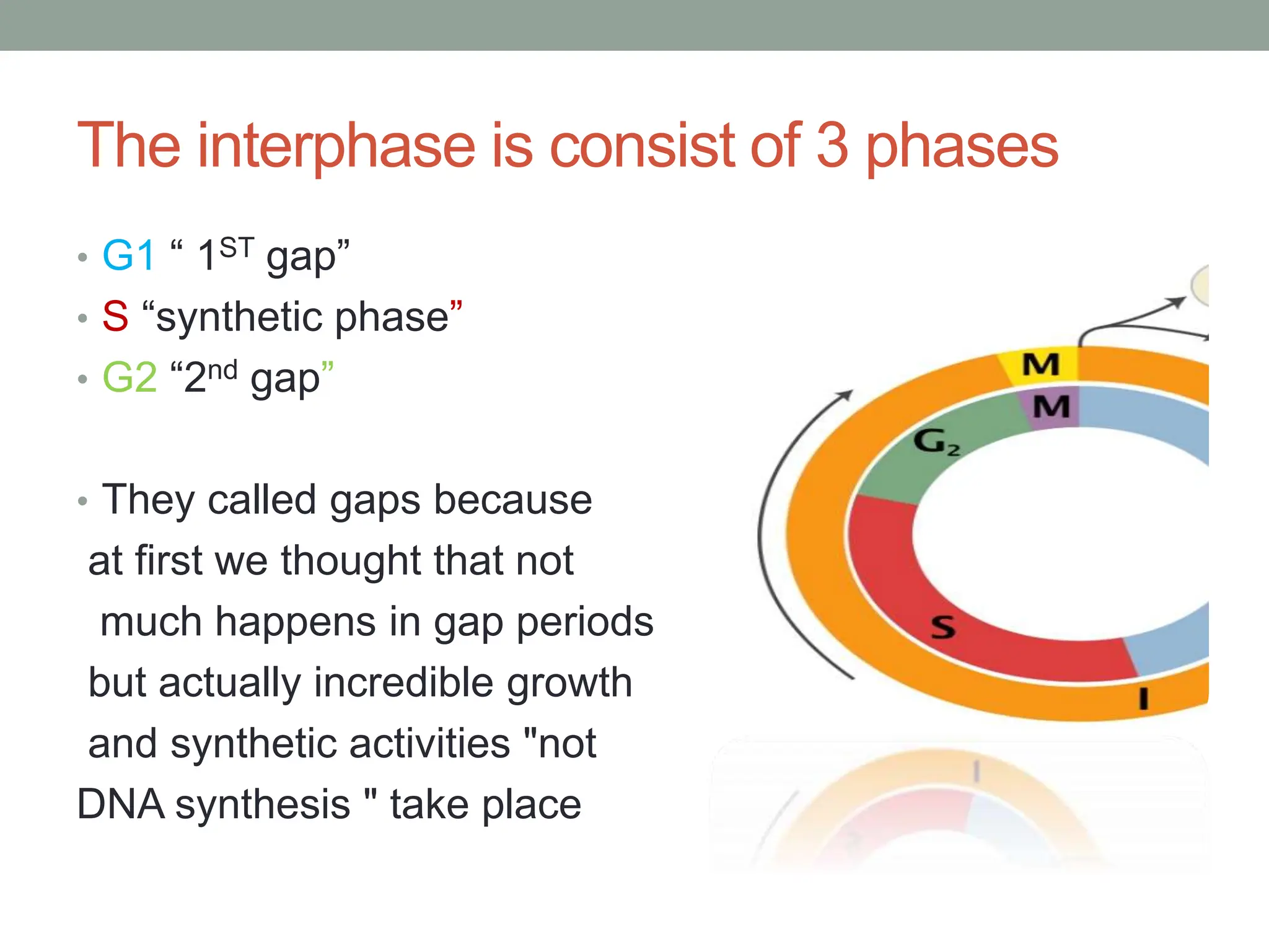Cell Cycle And Cancer Biochemistry Pptx