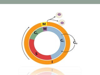 Cell cycle and Cancer biochemistry .pptx