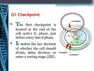 Cell cycle and carcinogenesis by Hussein Sabit | PPTX