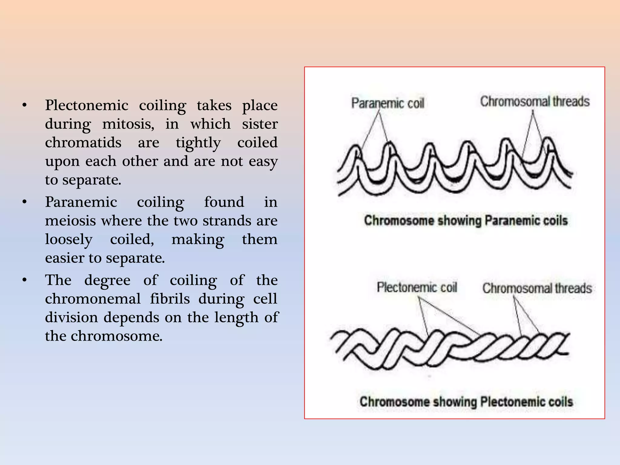 Cell cycle and cell division | PPTX | Reproductive Health | Diseases ...