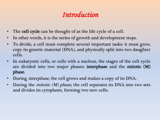 Cell cycle and cell division | PPTX | Reproductive Health | Diseases ...