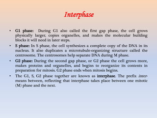 Cell cycle and cell division | PPTX | Reproductive Health | Diseases ...