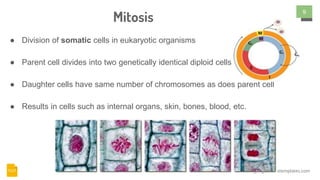 Cell cycle and cell division.pptx