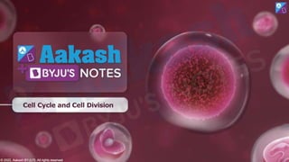 Cell Cycle and Cell Division.pptx