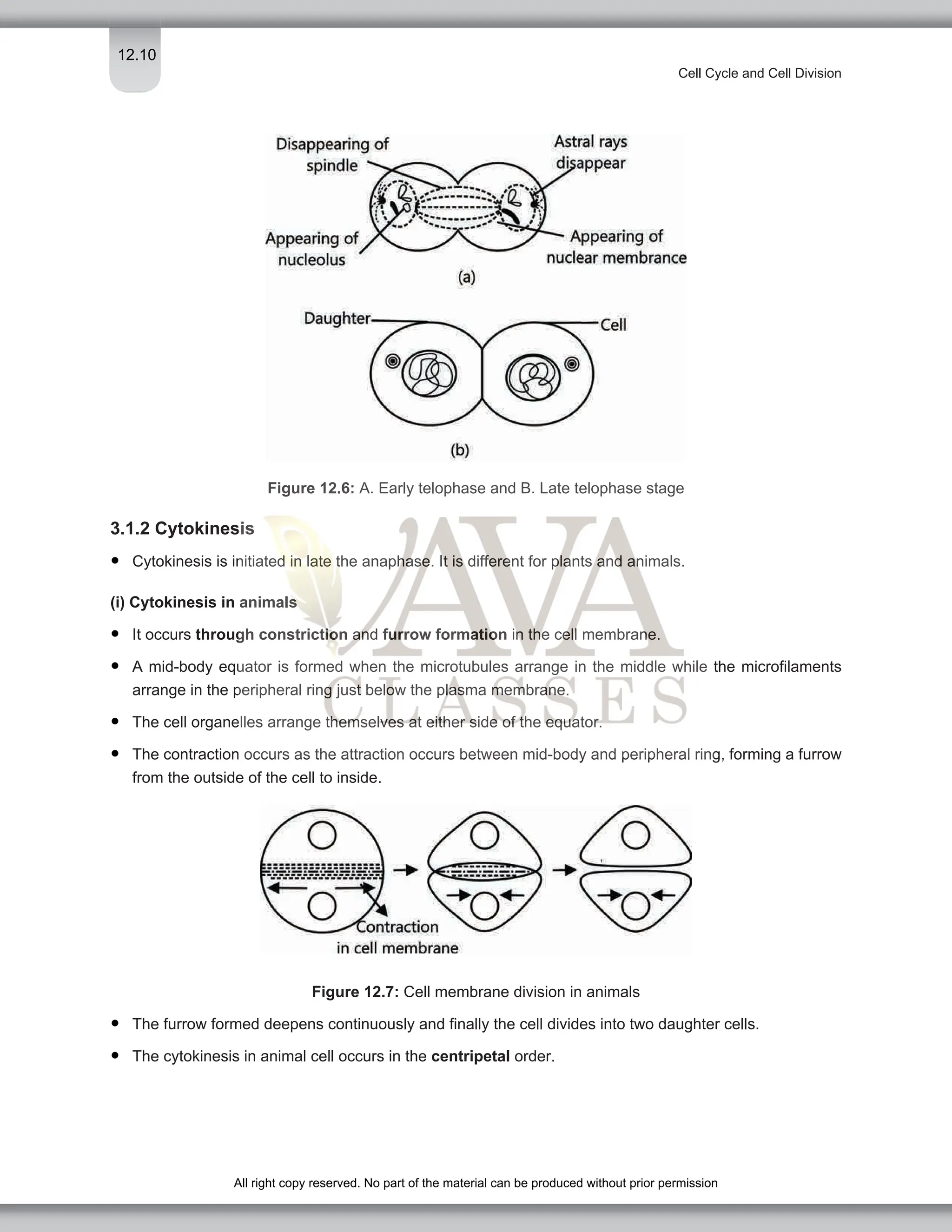 Cell Cycle and Cell Division Class 11 Important Notes for NEET Biology ...